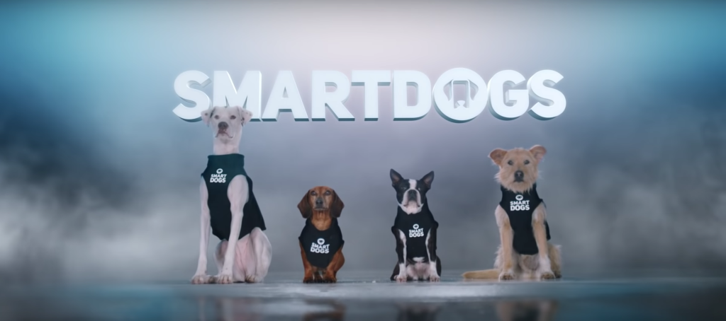 Park Pictures' Terri Timely Introduces Smartdogs for Geico, with Music ...